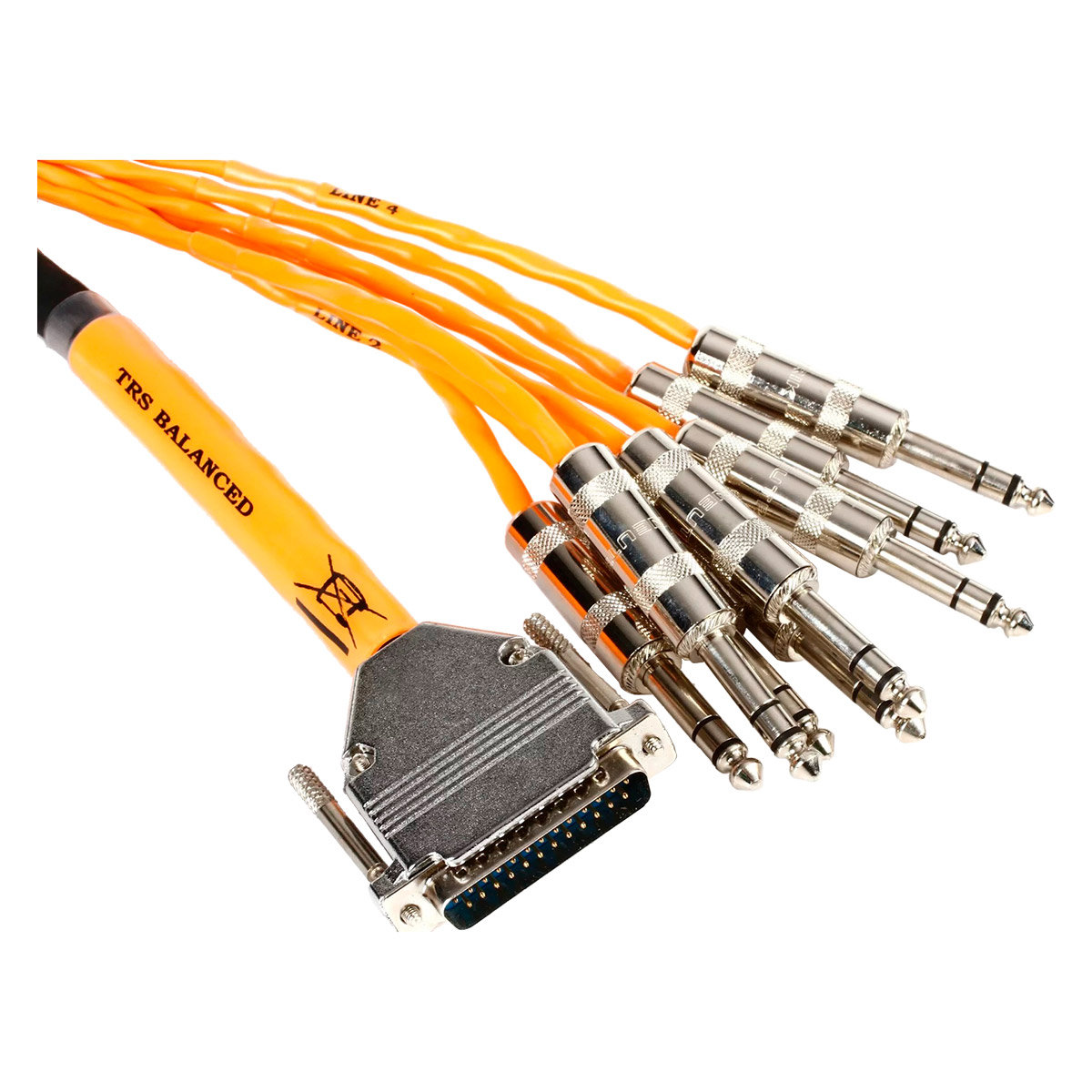 AVID HD DigiSnake 4' (1.2m) DB25-TRS - Multipaire Univers Sons