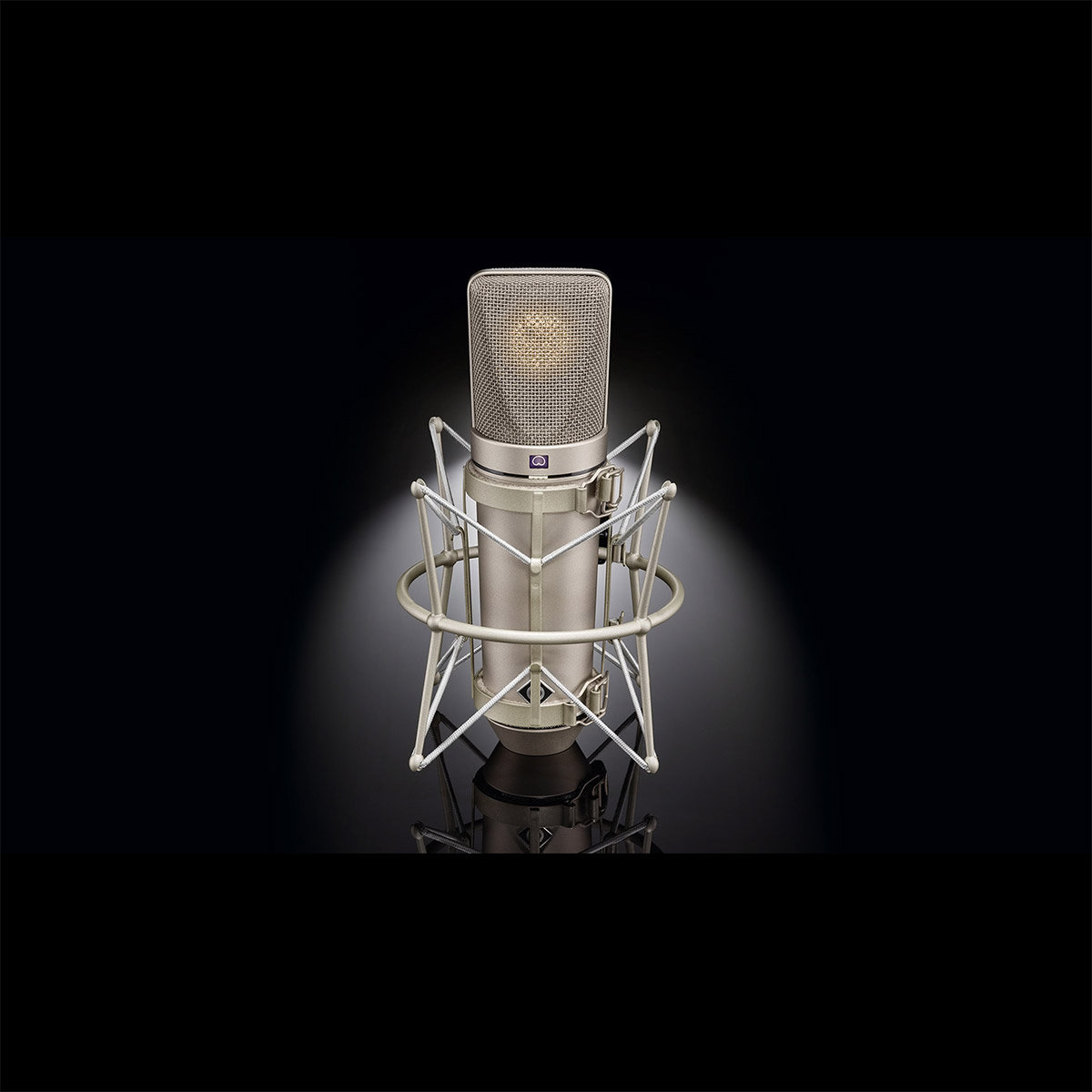 Neumann U67 Set - Micro statique Univers Sons