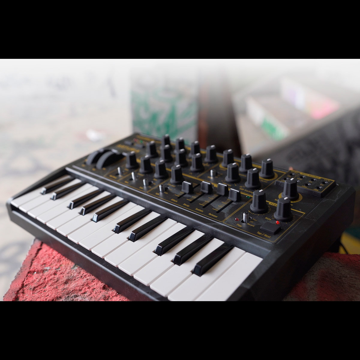 Arturia MicroBrute Creation Edition - Synthétiseur Univers Sons