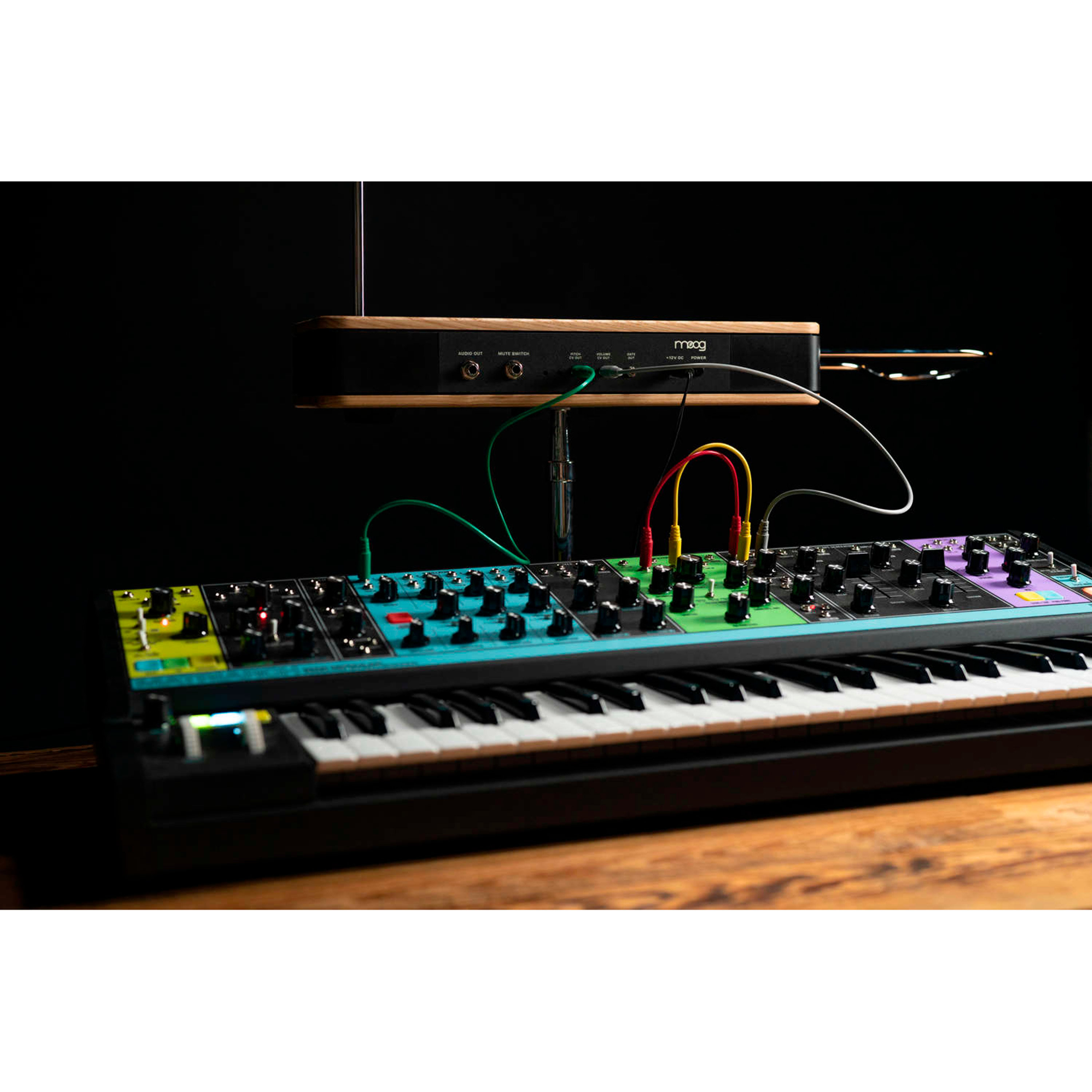 Moog Etherwave Theremin - Rack synthétiseur Univers Sons