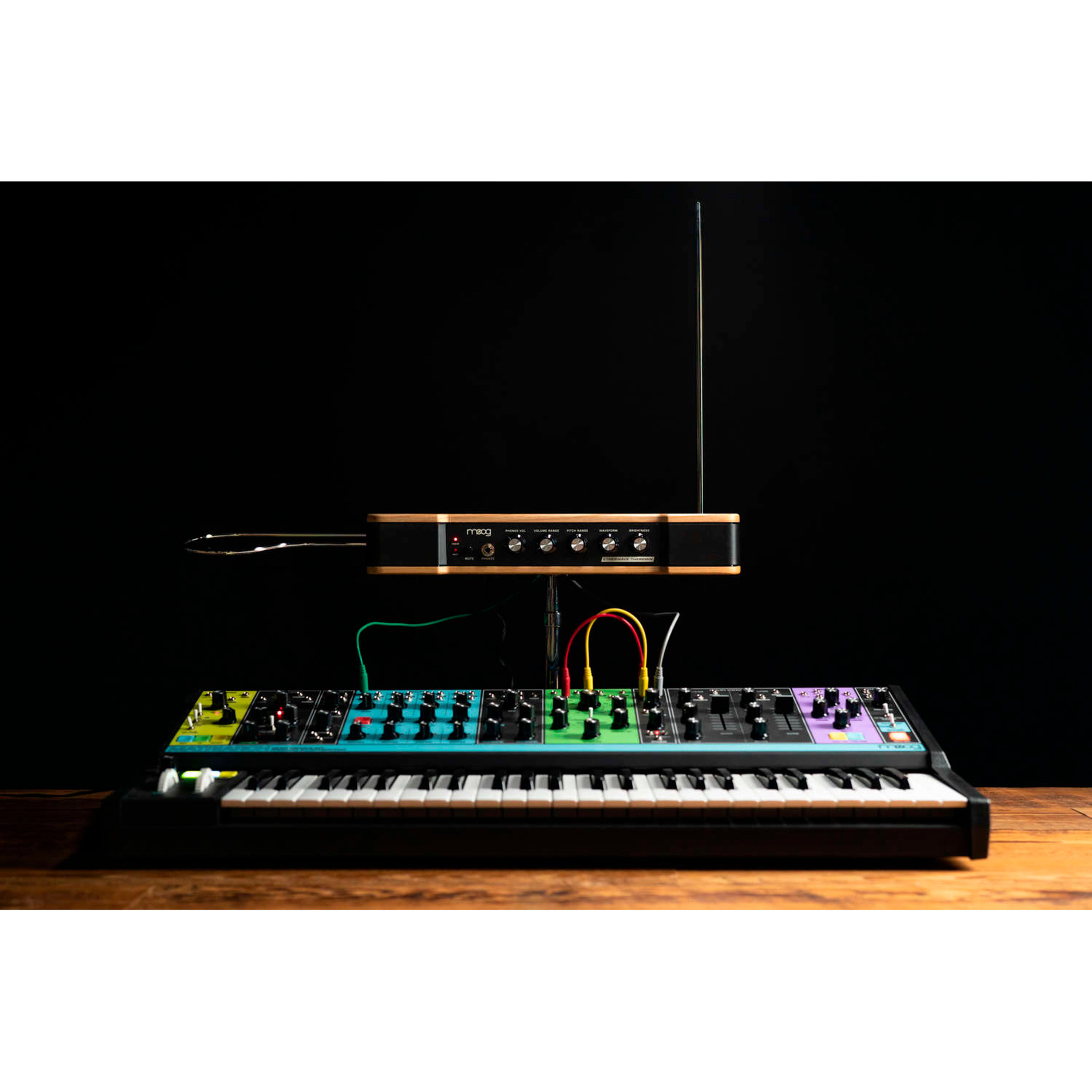 Moog Etherwave Theremin - Rack synthétiseur Univers Sons