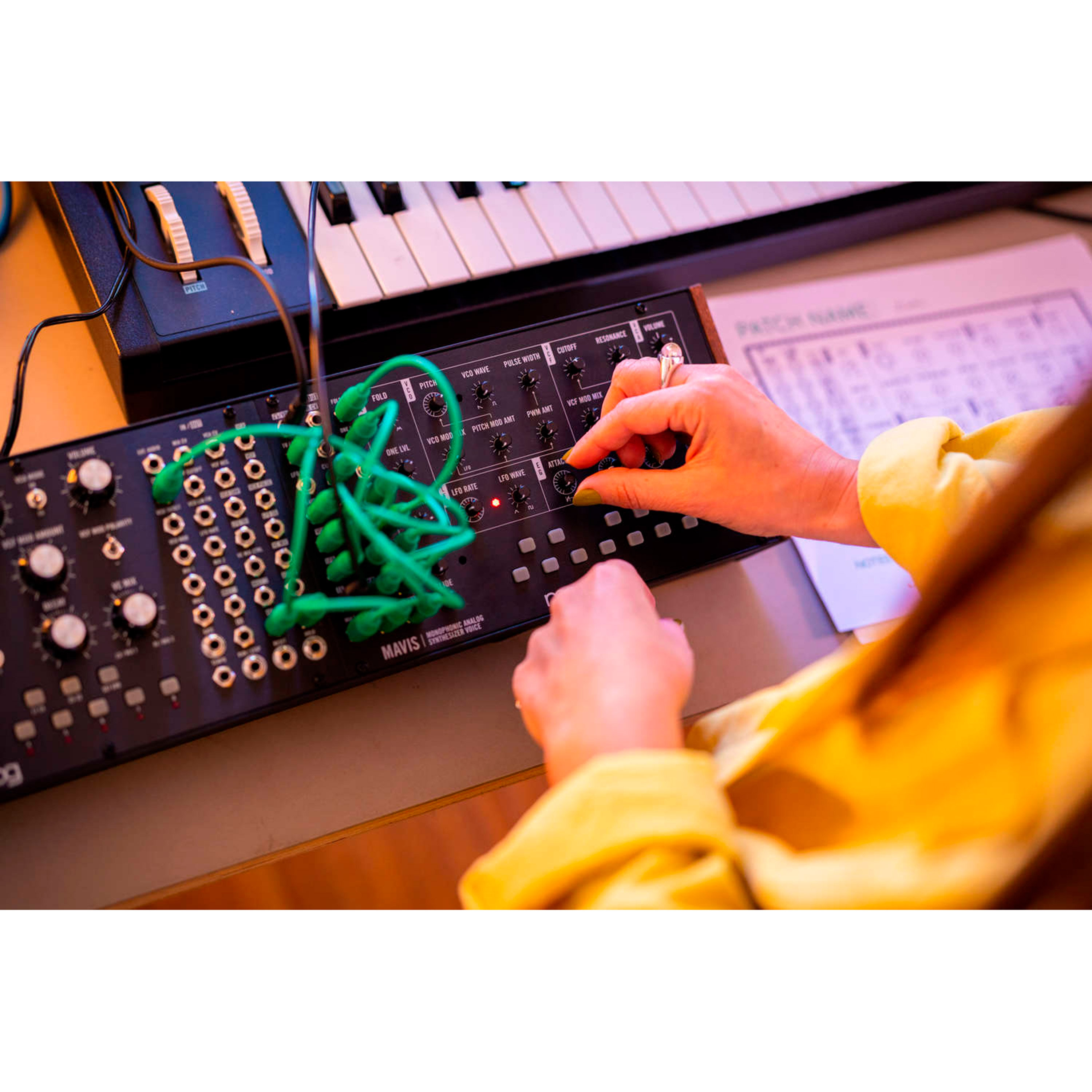 Moog Mavis - Rack synthétiseur Univers Sons