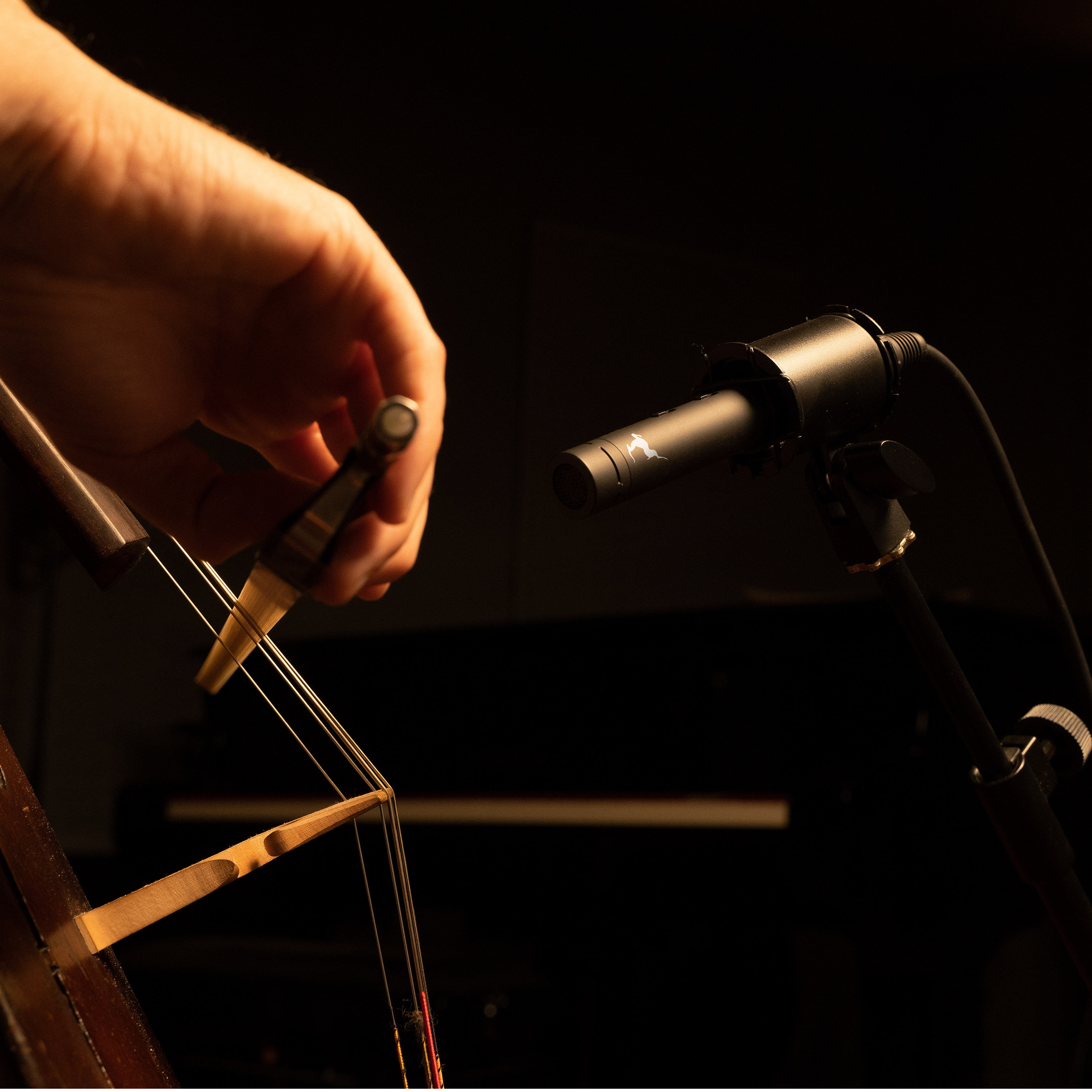 Antelope Audio Edge Note - Micro statique Univers Sons