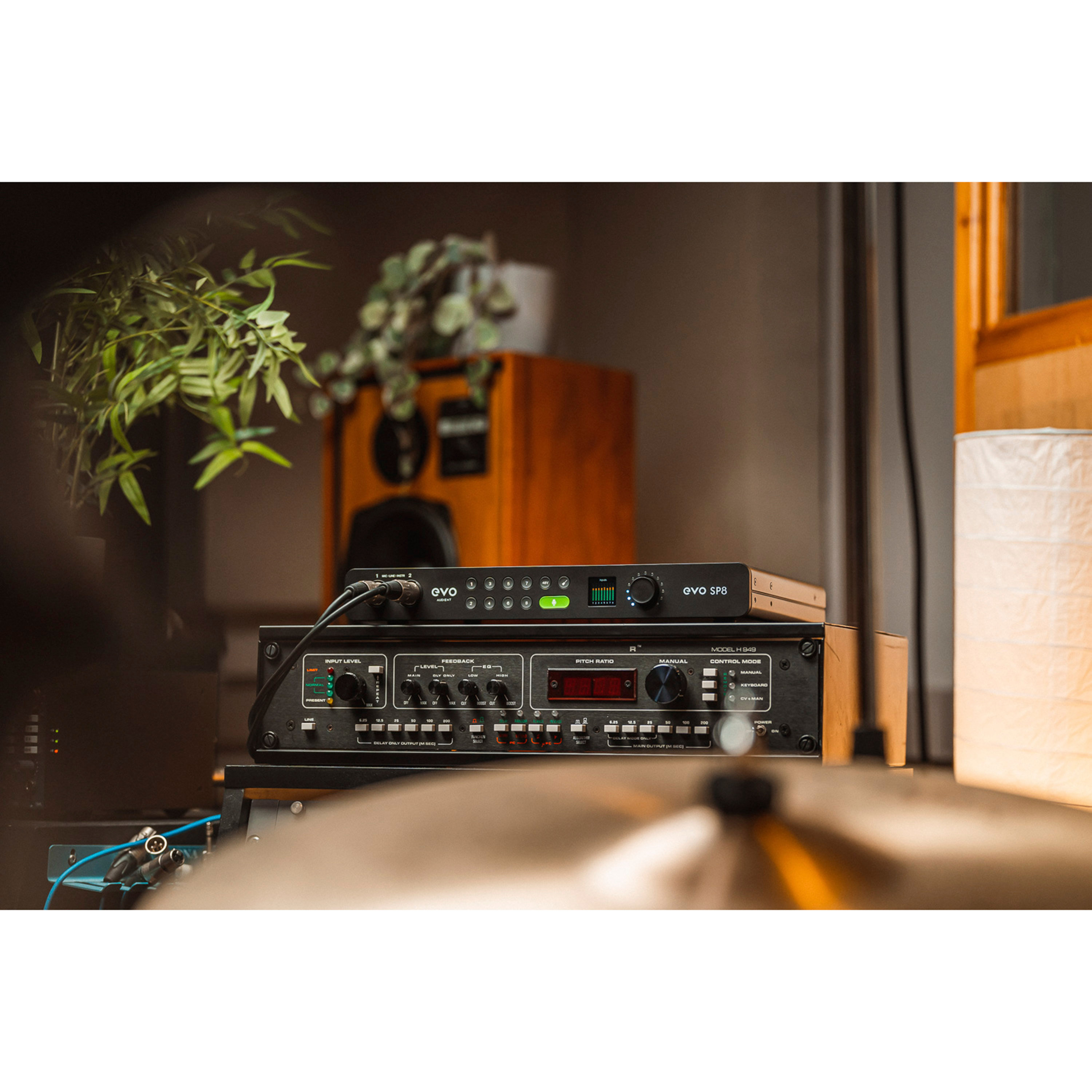 Audient EVO SP8 - Préampli Univers Sons